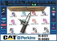 China fuel injector 7E-8727  0R-8475 0R-8483 0R-8477 0R-8473 0R-8684 0R-8479 101-8673 0R-4374 for sale