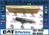 China Diesel Common Rail Fuel Injector  102-7038  127-8228 127-8230 162-0212 162-0218 418-8820 0R-8461 0R-8469 0R-8465 for sale