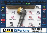 China Diesel Engine Injector 232-1183  173-9268 198-7912 232-1168 156-3895 204-2467 232-1167 for sale