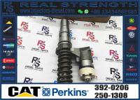 China Fuel Injector Assembly  392-0206  250-1306 250-1308 250-1312 392-6214 250-1314 359-5469 375-4106  10R-8795 for sale