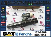 China 3512A engine fuel injector   162-8809  250-1311 250-1302 250-1304 250-1303 250-1306 250-1308 250-1312 for sale