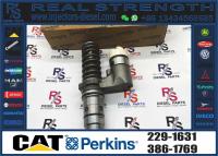 China Diesel Engine Injector 3512B 229-1631  230-9457 386-1769 392-0201 392-0206 150-4453 162-8809 162-8813 192-2817 for sale