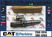China Diesel Engine Injector 250-1314  192-2817 204-2067 229-1631 245-8272 246-1854 250-1311 250-1302 250-1304 250-1303 for sale