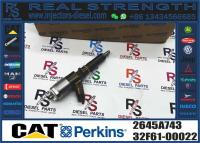 China Engine C4.2 Injector  2645A743  32F61-00062 32F61-00014 32F61-00022 32F61-00012 32F61-00013 for sale