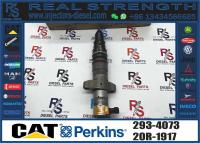 China diesel fuel injector  293-4073  265-8106 267-3361 387-9435 53L-8062 387-9437 387-9438 328-2577 for sale