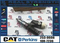 China diesel fuel injectors  253-0608  10R-3147 10R-3262 294-3002 249 -0705 249-0708 1OR-2977 212-3468 for sale