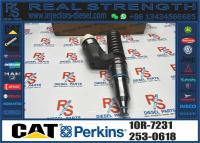China High Quality Diesel Fuel Injector  1OR-7231  10R-9787 211-3026 276-8307 1OR-0724 1OR-9787 for sale