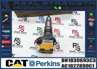 China diesel fuel injector mtu BN1830693C3 593597C91R BI1830562C2 BI1830560C2 BI1830560C1 AP63813BN for sale
