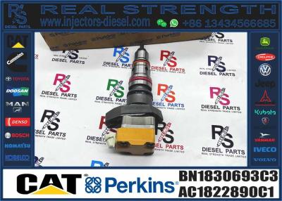 China diesel fuel injector mtu BN1830693C3 593597C91R BI1830562C2 BI1830560C2 BI1830560C1 AP63813BN for sale