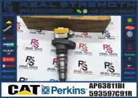 China AP63811BI common rail injector  1833646C92 1833645C1 AC1822890C1 EA1824917C1 AB1822803C1 for sale