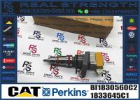 China Diesel Injector Parts BI1830560C1 BI1830560C2  AP63813BN CE1829926C1 BC1824919C2 for sale