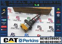 China common rail diesel injector  AP63811BI 1833640C1 1833644C11 1833646C92 1833645C1 AC1822890C1 for sale