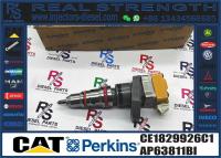 China diesel engine parts Common rail injector CE1829926C1  BN1830693C3 593597C91R BI1830562C2 BI1830560C2 BI1830560C1 for sale