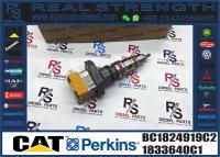 China Fuel Injector Assembly  BN1830693C3 593597C91R BI1830562C2 BI1830560C2 BI1830560C1 AP63813BN CE1829926C1 BC1824919C2 for sale