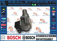 China Fuel Injector 313GC5230MX 7485003175 0414755015 0986445012 0414755016 for sale