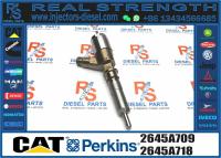 China 2820490 282-0490 2645A709 C6.6 Engine Fuel Injector for CAT Loader 938H for sale