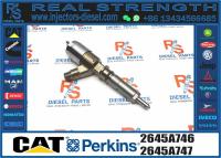 China CAT Injector 2645A746 /320-0677 for Perkins C6.6, the Best Fuel Injector From China Excellent Quality with Very Good Price for sale