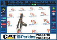 China 320-0670 2645A718 Diesel Pump Injector China New Fuel Injector for Perkins Engine 1104D-E44TA Caterpillar C4.4 C6.6 for sale