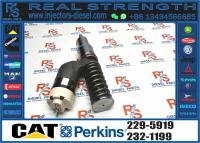 China Excavator Parts 229-5919 Fuel Injector 229-5919 10R-1000 10R-1000 for CAT C18 C15 C12 C13 3406E Series for sale