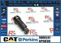 China Excavator Plunger 4P-9830 CAT 3306B 3306 Diesel Fuel Injection Pump Element Plunger 4P9830 1W6541 for sale