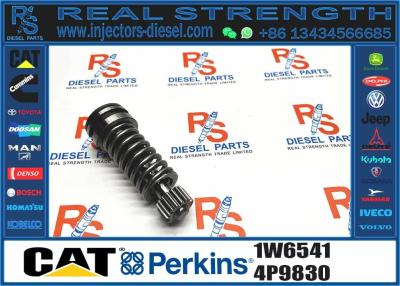 China Excavator Plunger 4P-9830 CAT 3306B 3306 Diesel Fuel Injection Pump Element Plunger 4P9830 1W6541 for sale