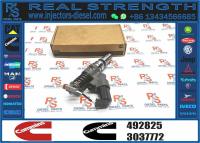 China Diesel Engine Parts 3411754 3411755 492825 4928517 Diesel Fuel Injector for CUMMINS Diesel Engine for sale