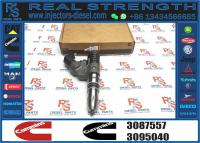 China Factory High-quality Truck Engine Assembly Parts Diesel Fuel Injector 4307795 3087557 4902924 3037772 4928171 for N14 Engine for sale