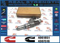 China Diesel Engine Cheap Fuel Injector 6 Months Universal Truck China M11 4061851 3080429 for sale
