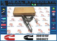 China Generator Diesel Engine N14 Fuel Injector 3407776 3409975 4902924 3081315F 3083846T 3083848F 3087560 3087733 3087807 6087807 for sale