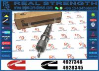 China High Quality New Common Fuel Injector 4902828 for Engine QSK23 Engine INJECT PUMP 4927348 for sale
