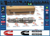 China Best-selling and Durable Construction Machinery Fuel Injector 4087889 4928345 4326639 4928348 4087886 4010029 for QSK19 Engine for sale