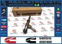 China Common Rail Fuel Injector 4307475 5461710 5491515 5491531 for Cummins Scania XPI ISX QSX for sale