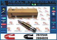 China Diesel Engine Fuel Injector 2872544 2872289 4955080 2872284 2872056 for Cummins QSZ13 ISZ525 Engine for sale