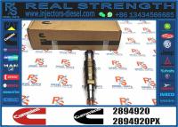 China QSX15 ISX15 X15 diesel Engine Spare Parts Fuel Injector 2894920 for sale