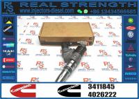 China Good Quality Excavator Spare Parts M11 ISM11 QSM11 Diesel Engine Spare Parts Fuel Injector 3411845 for sale