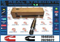China Fuel Injectors 1948565 1916167 1933612 5419680 for sale