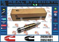 China High quality diesel fuel injector 2036181 2057401 for sale