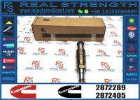 China New Construction Machinery Fuel Injector Compatible ISZ13 Diesel 2031836 2872289 2086663 2058444PX for CUMMINS Diesel Engine for sale