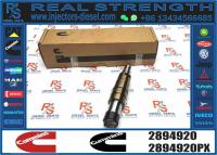 China Common Rail Diesel Fuel Injector 2897320 2894920 2872405 2086663 for Engine Parts for sale
