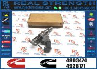 China Diesel Engine Parts Diesel Fuel Injector 4903474 4903472 4903472PX for Cummins ISM11 QSM11 M11 Diesel Engine for sale