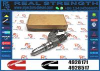China 4928171 4928171PX Diesel Fuel Injector for Cummins ISM ISM11 QSM11 Engine Heavy Duty Truck Petroleum Machinery Generator Sets for sale