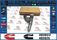 China Diesel Engine Parts 3411754 3411755 492825 4928517 Diesel Fuel Injector for CUMMINS Diesel Engine for sale