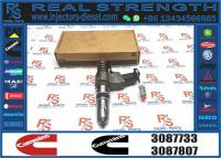China Diesel Engine Parts Diesel Fuel Injector 3087560 3087733 3087807 for Cummins NT855 QSN14 N14 Engine for sale