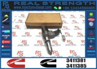 China Common Rail Fuel Injector 3411381 3411381PX 3411381RX for Cummins 14L QSN14 N14 Engine for sale