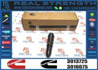 China Seaple Injector for Cummins N855 NT855 3054218 3013725 3018566 3047985 for sale