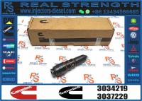 China Sufficient Stock Engine Fuel Injector Nozzle Assy 3034219 3032392 4914308 4914325 Unit Pump for Excavator NT855 Shantui Bulldozer SD22 for sale