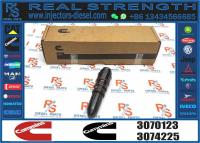 China NT855 Engine Injector 3070123  3059424 3038187 3069767 3047981 for sale