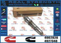 China DIESEL Fuel injector 4902827 4902828 Diesel Fuel Injector for Cummins for sale