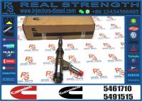 China Diesel Fuel Injector 4307475 4307468 5461710 for Cummins ISG12 Engine for sale