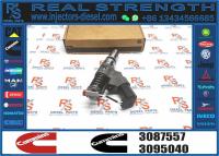 China New Construction Machinery Fuel Injector Parts for CUMMINS Diesel Engine Compatible with M11 3411 756 3083849 3087557 4307516 for sale